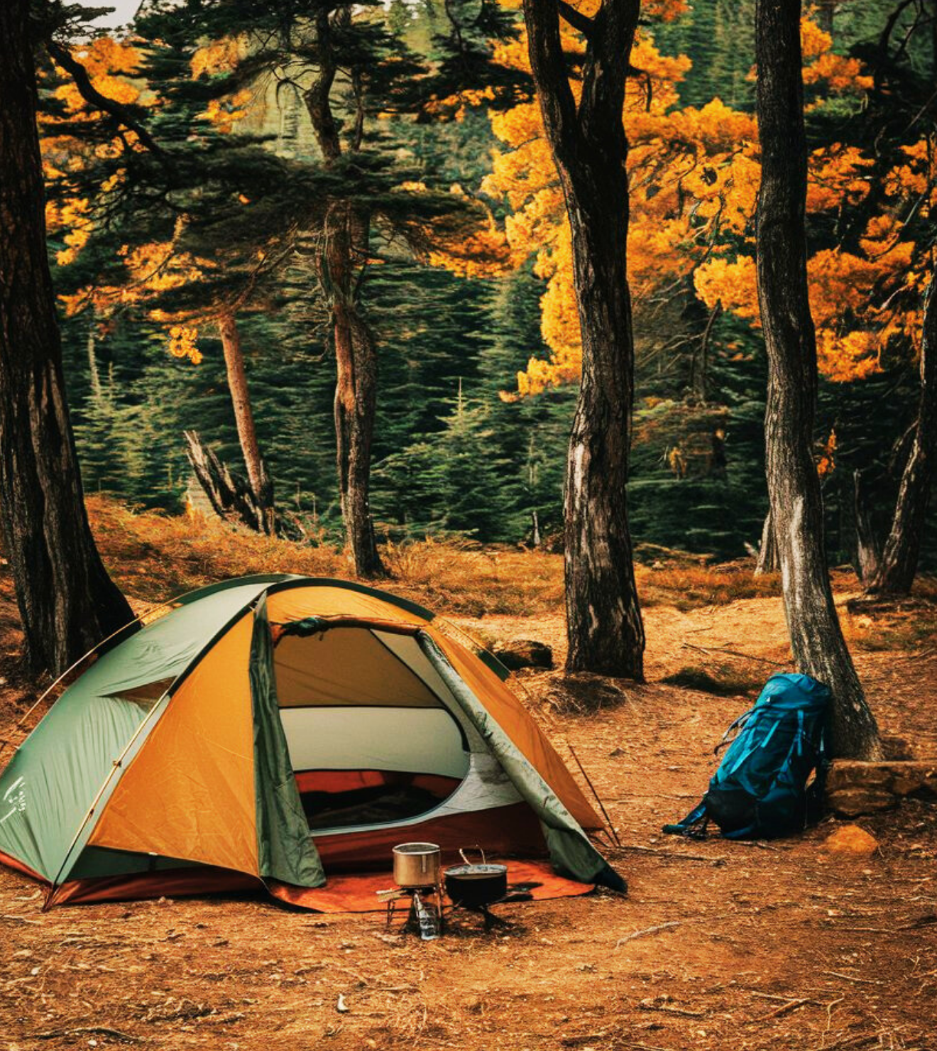 Wild Camp – ¡Dale Gaia!